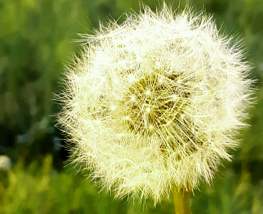 Kontakt - beate koch | beratung & coaching