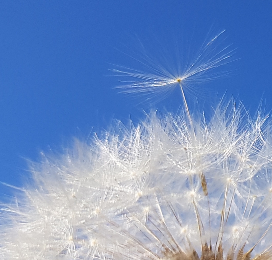 Philosophie - beate koch | beratung & coaching