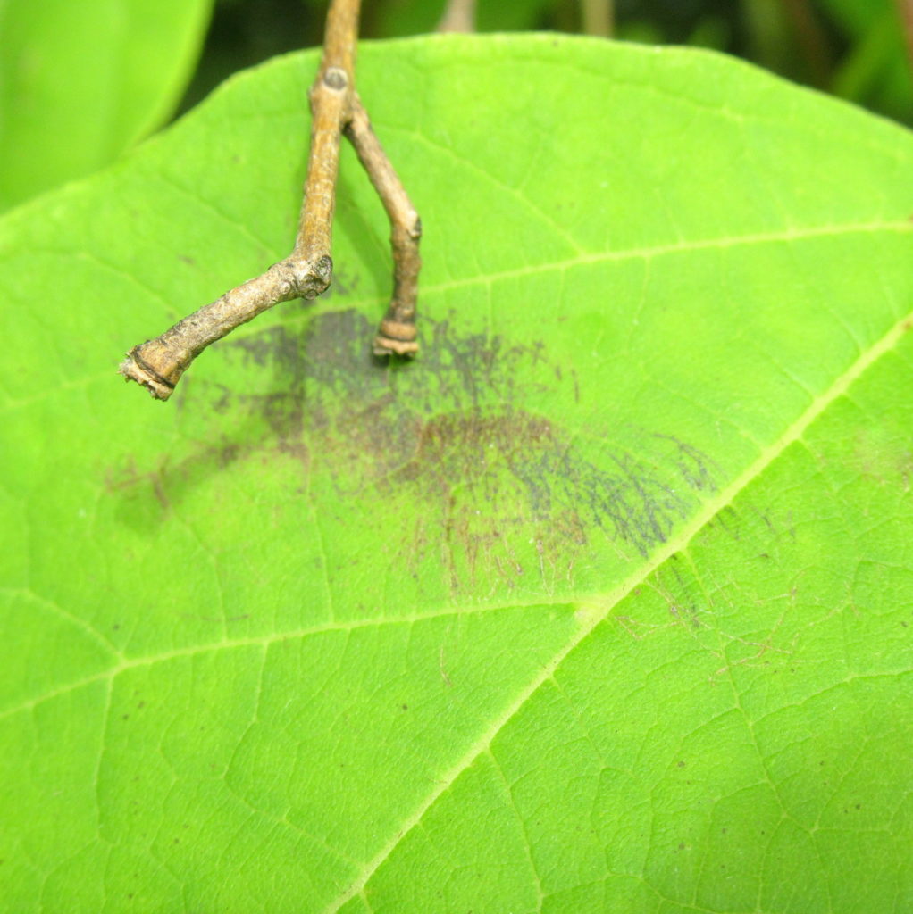 Willkommen - beate koch | beratung & coaching